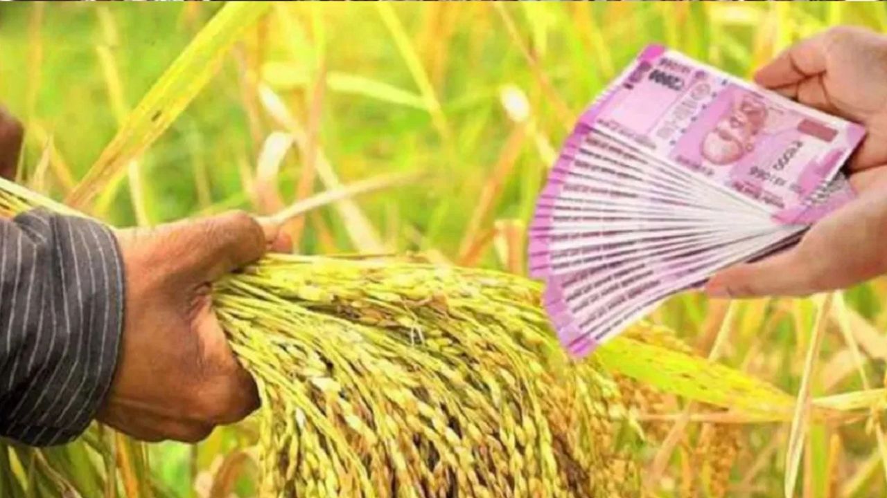 Agriculture loan: কৃষকদের জন্য সুখবর! স্বাধীনতা দিবসে হাজার কোটি টাকার লোন মকুব - Bengali News ...