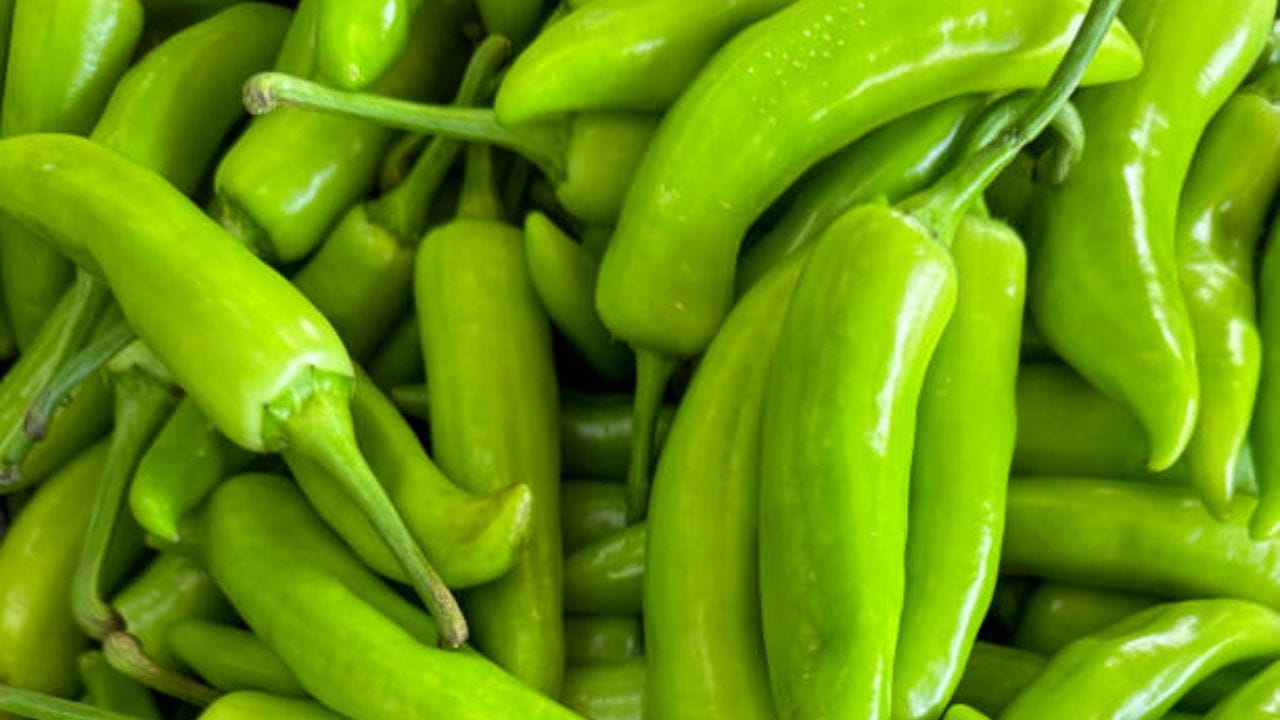Green Chilli: শুকনো নয় খাবারের সঙ্গে এককামড় কাঁচালঙ্কাতেই হজমের ...