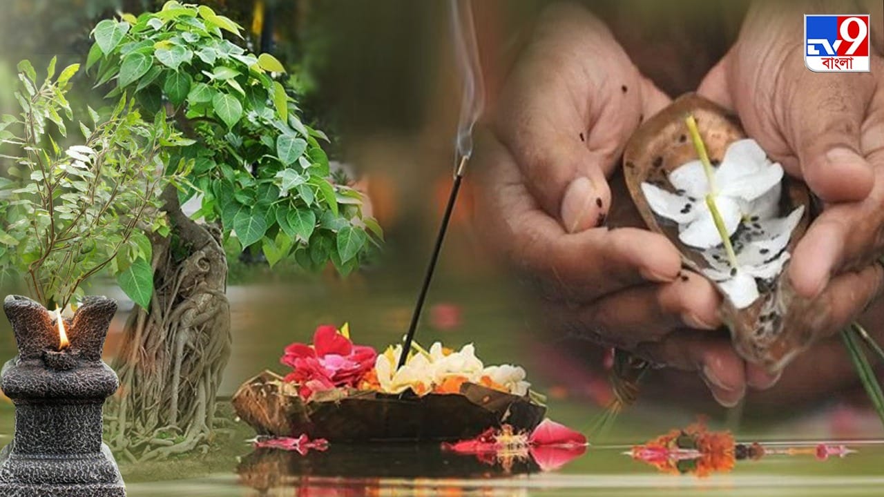Pitra Paksha 2023: পিতৃদোষ কাটাতে তর্পনের দিন বাড়িতেই লাগান এই ৫ গাছ ...
