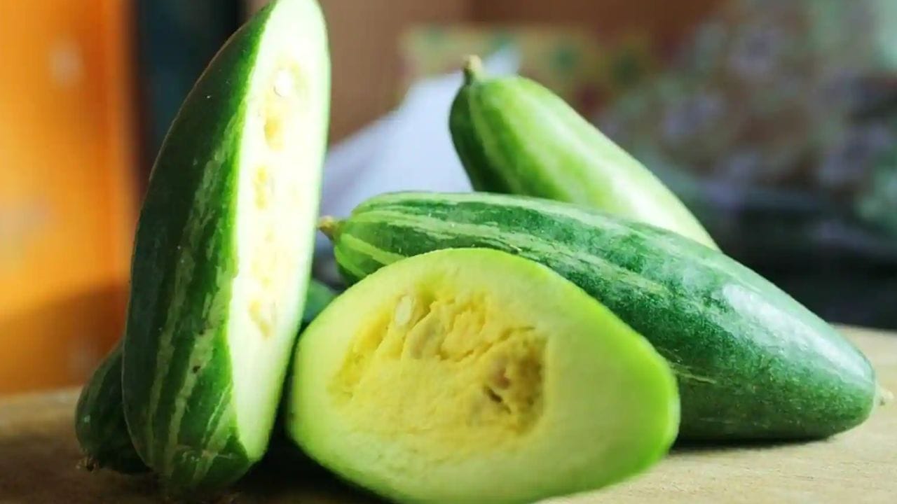 Farming Business: পটল চাষ করে লক্ষ টাকা আয়! শুধু জানতে হবে কিছু নিয়ম ...