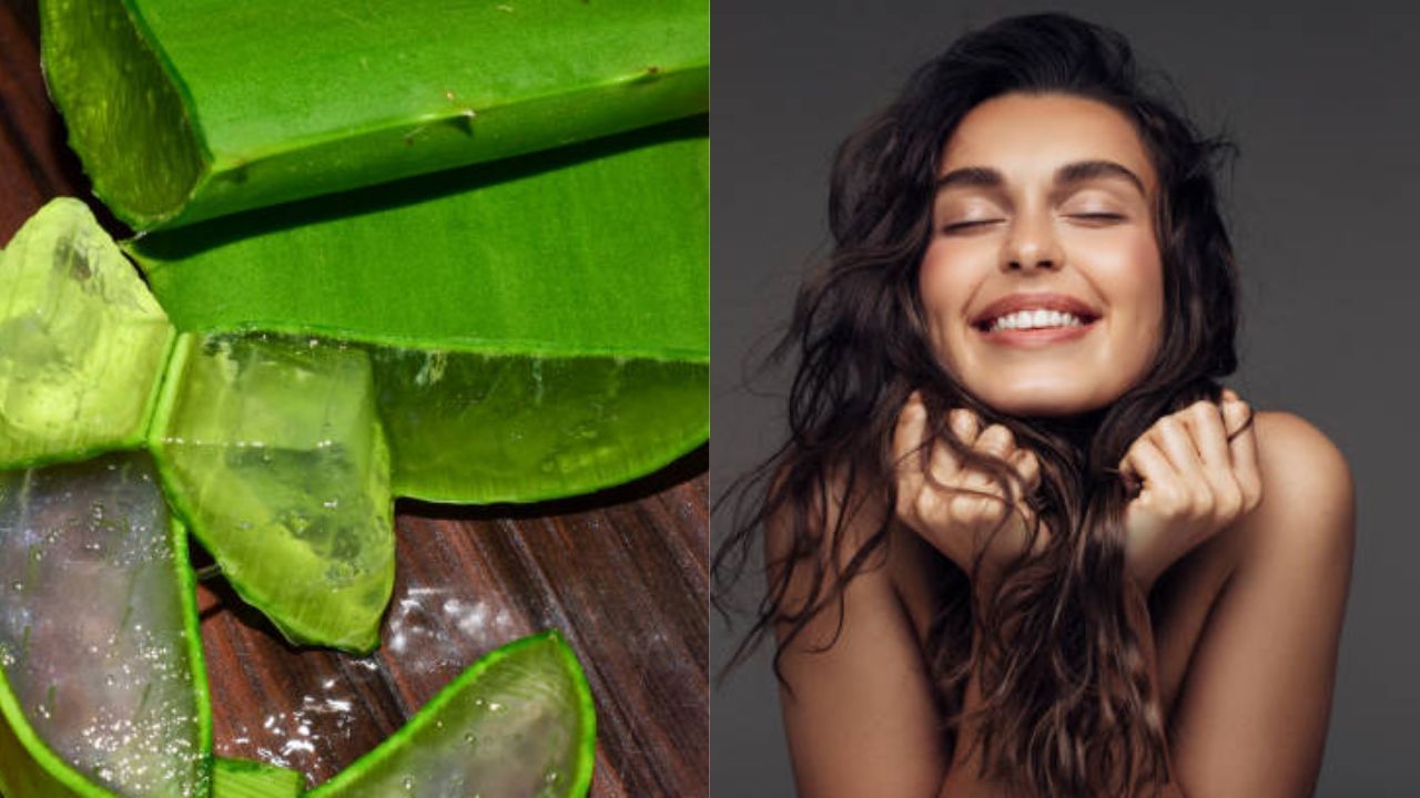 Aloe Vera Mask: পুজোর আগে মসৃণ চুল গ্যারান্টি, যদি এভাবে চুলে মাখেন ... Aloe Vera Mask: পুজোর আগে মসৃণ চুল গ্যারান্টি, যদি এভাবে চুলে মাখেন ...