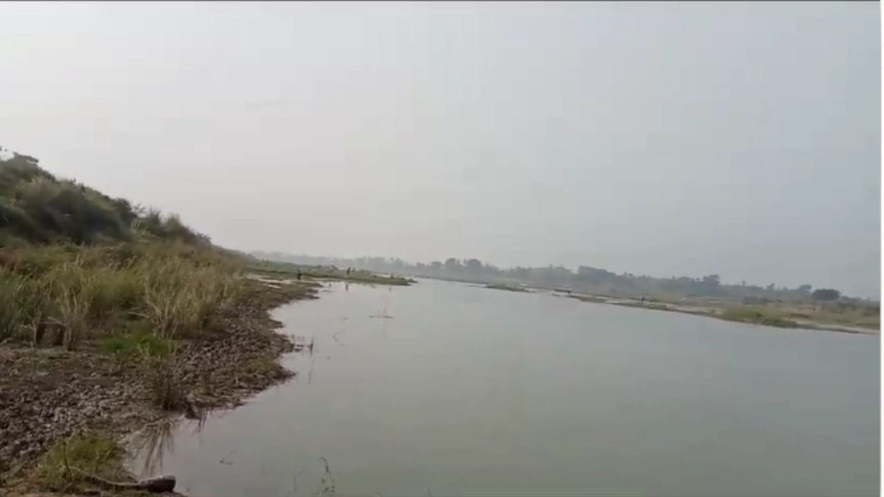 Arambag: মধ্যরাতে নৃশংসতা! সকালে পুকুরে ভেসে উঠল সারি সারি মরা মাছ ...