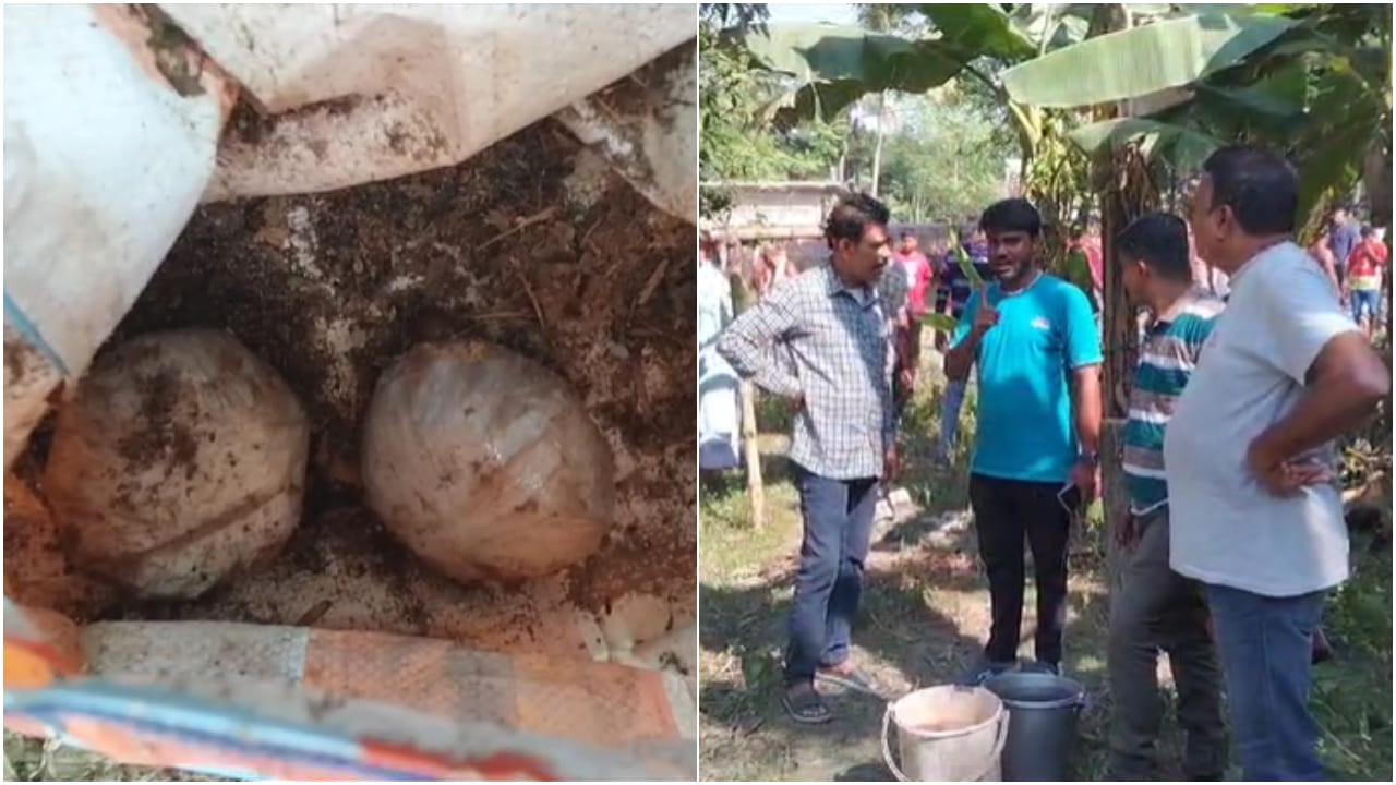 Deganga: তৃণমূলের অফিসের পাশেই পড়ে ছিল ব্যাগ, 'বোমা' নিয়ে খেলতে গিয়ে আঙুল উড়ল কিশোরের ...