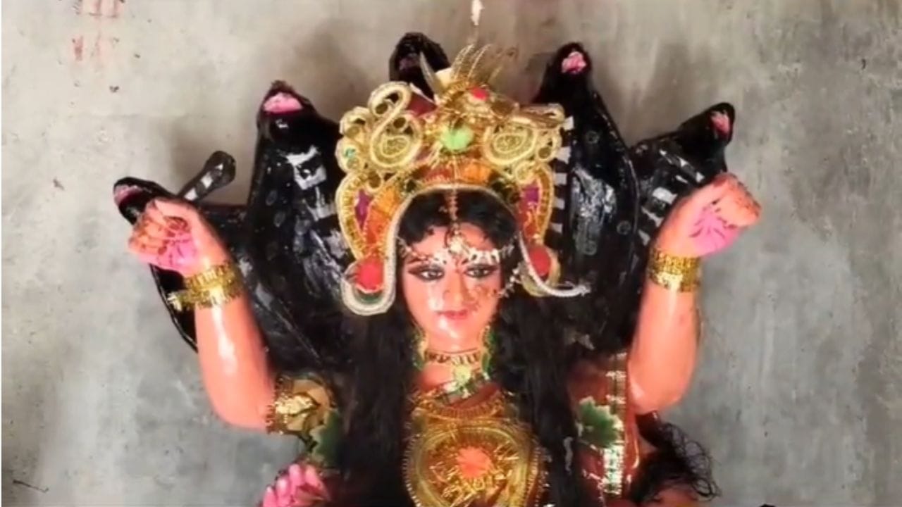 Manasha Puja Video: কালীর নিরঞ্জনের দিন মনসার চোখে জল? রইল ভিডিয়ো ...