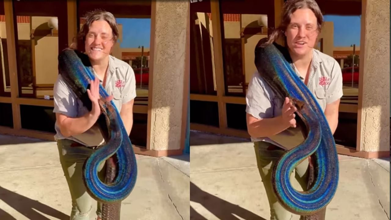 Viral Video: রামধনু রঙের বিশাল পাইথনকে জড়িয়ে মহিলার আদর, 'বেশি ...