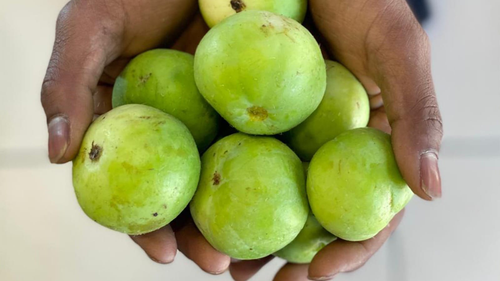 Tinda Benefits: রাজস্থানের সবজি কমায় প্রেশার সুগার - Bengali News ...