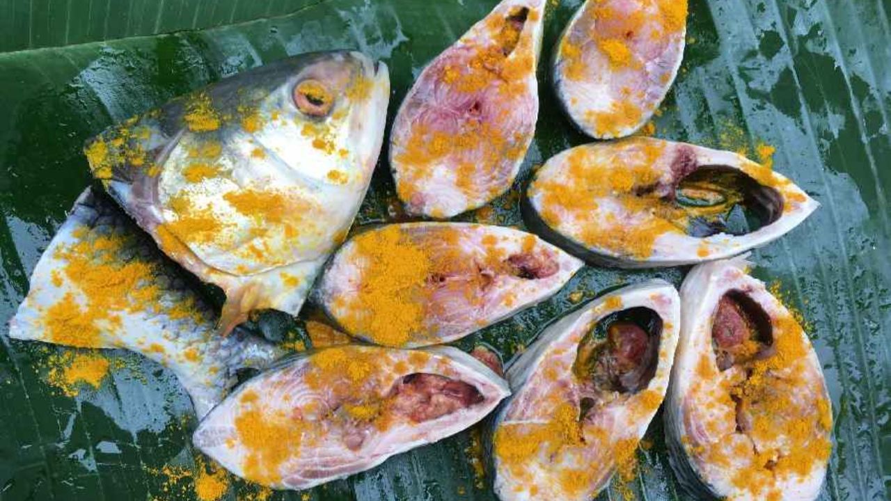 Fish Cooking Tips: ভাপা হোক বা ফ্রাই, মাছ রান্না করার সময় এই ৬ বিষয় ...