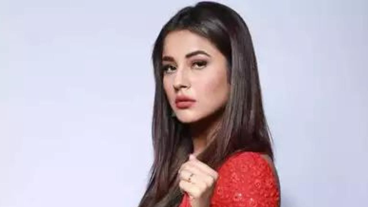 Shehnaaz Gill: সিদ্ধার্থ অতীত, কার প্রেমে পড়লেন শেহনাজ় গিল ...