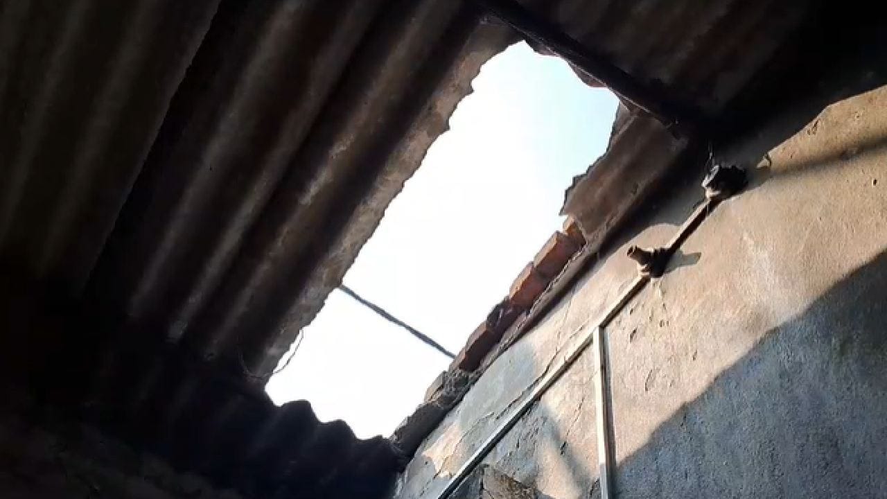 Anganwadi Kendra: নিয়ম করে কাক আসে ডিম খেতে, অঙ্গনওয়াড়ি কেন্দ্রের ...