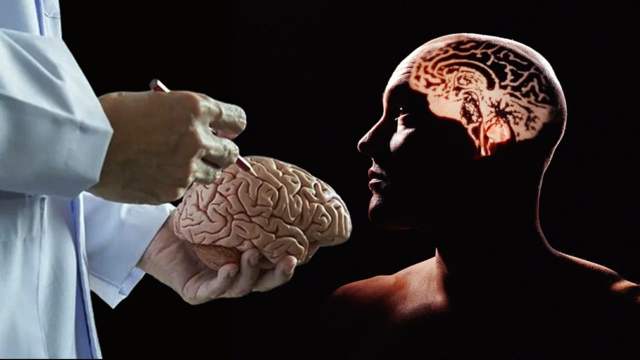 Sixth Sense: আপনার সিক্সথ সেন্স কি বেশ প্রখর? জেনে নিন অন্যদের থেকে ...