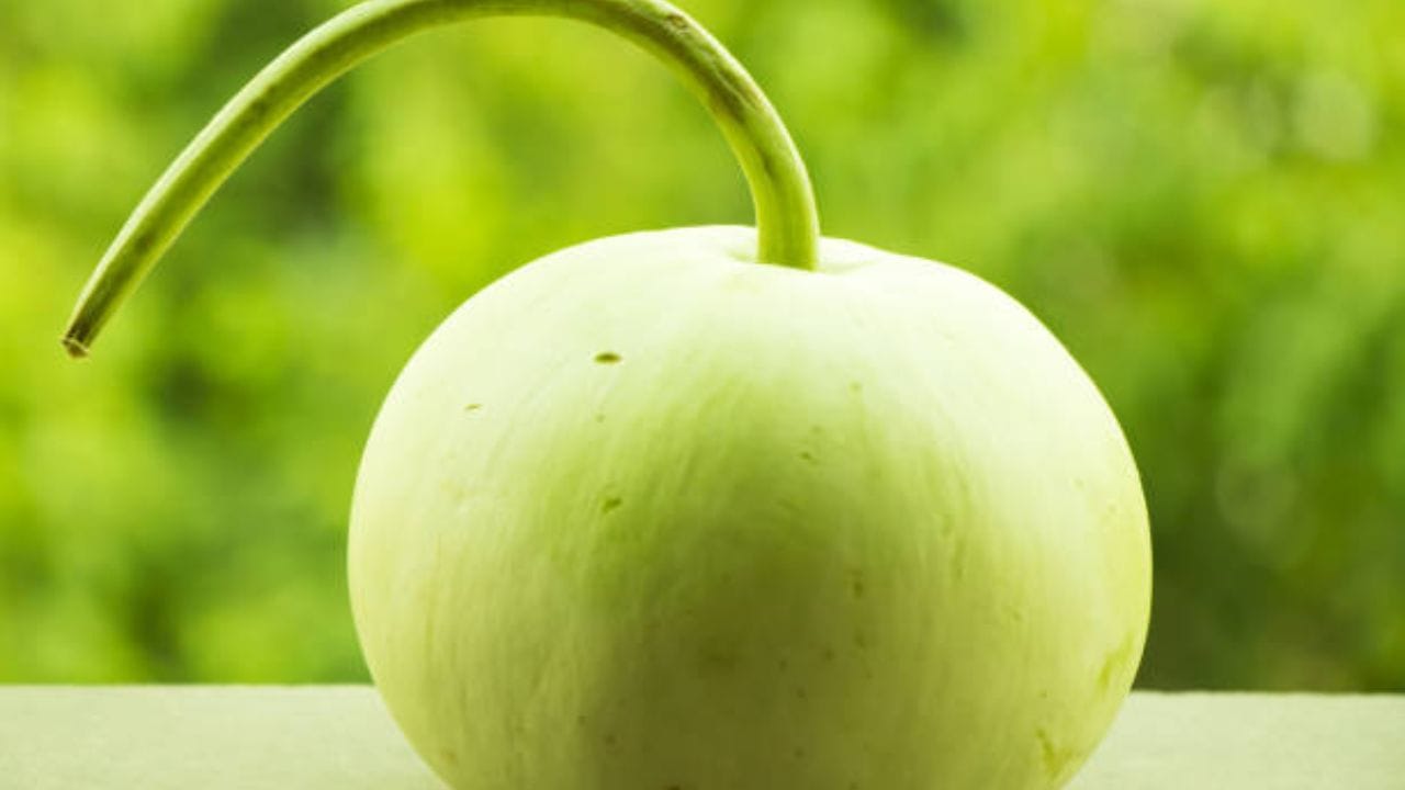 Best vegetable for health: করলার থেকে এই সবজির গুণাগুণ অনেক বেশি, রোজ ...