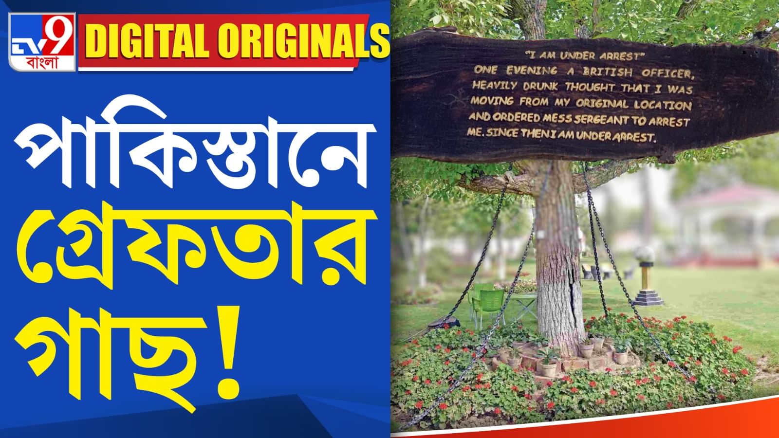 Pakistan Law: পাকিস্তানে সব হয়, তাই তো গাছের 'হাতে' পড়ে হাতকড়া ...