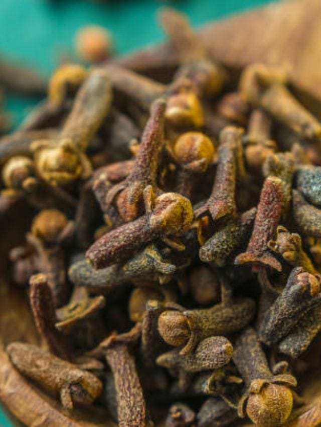 খাবারের স্বাদ নয়, ইমিউনিটি বাড়ায় লবঙ্গ – TV9Bangla