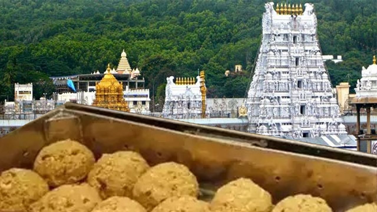 Ram Temple Prasad: অযোধ্যার রামমন্দির উদ্বোধনী অনুষ্ঠানে ভক্তদের জন্য ...