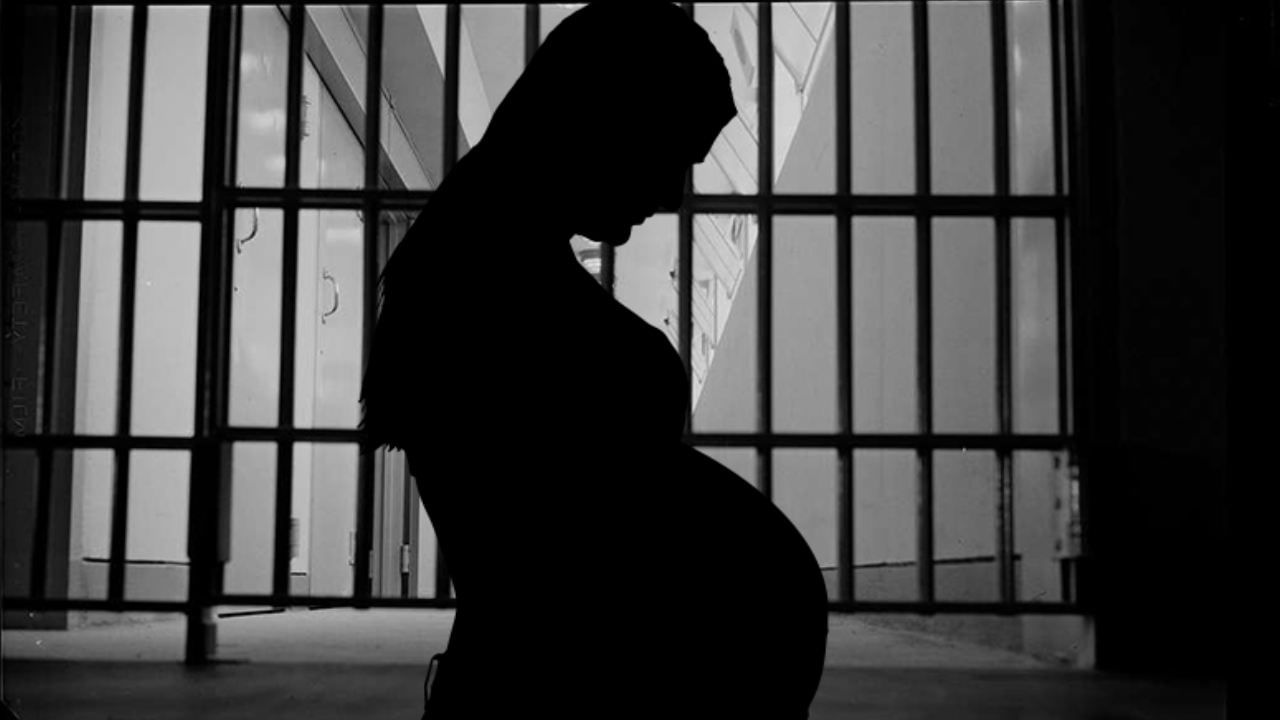 Pregnant in Jail: ‘হতেই পারে না, পুরুষ-মহিলা তো আলাদা থাকে ...