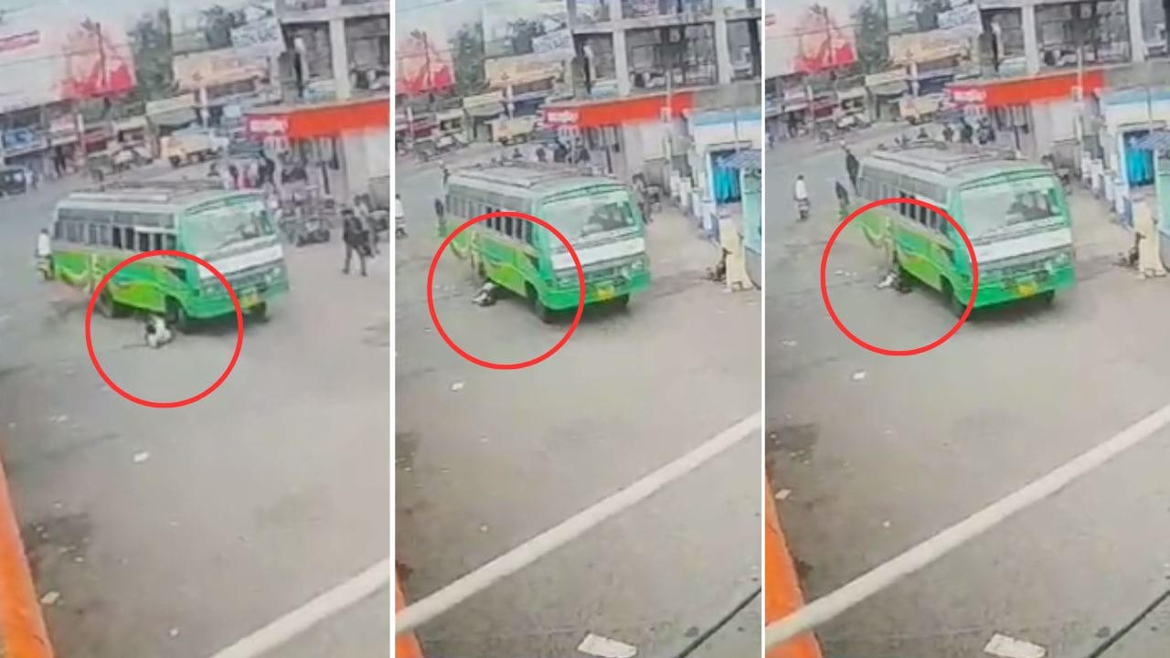 Tragic Accident: প্রথমে সামনের চাকা, পরে পিছনের চাকা, বাসের তলায় পিষে ...