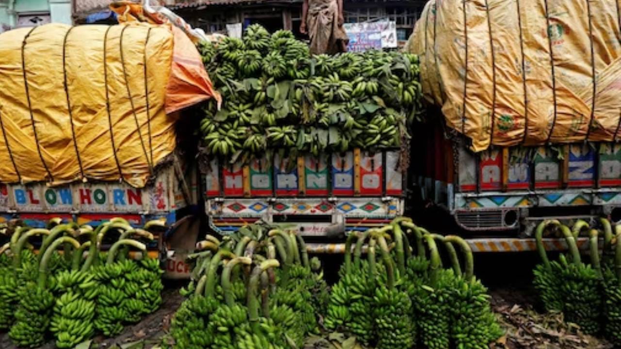 Banana Export: কলাতেই কেল্লাফতে! কেন রাশিয়াতে কাঁদি কাঁদি কলা পাঠাচ্ছে ...