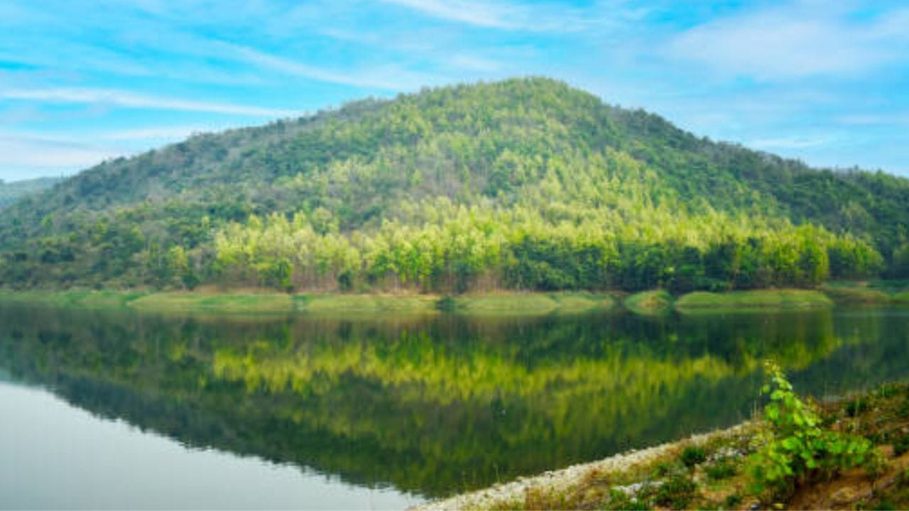 পলাশ দেখতে পুরুলিয়া যাচ্ছেন? বসন্তের আমেজে ভিড় জমান এই ৩ অফবিট স্পটে ...