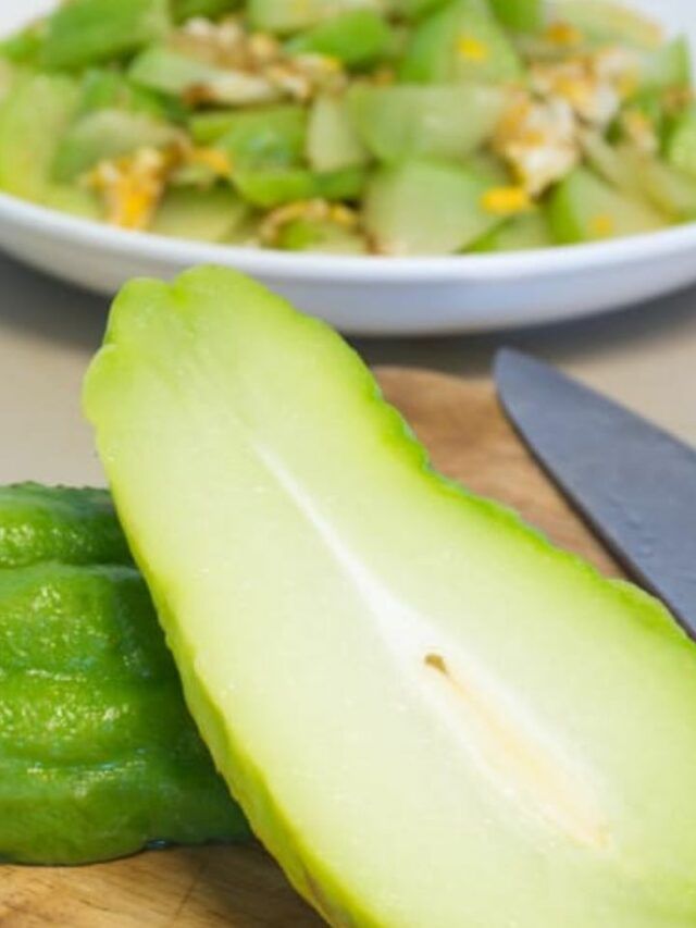 স্কোয়াশের রয়েছে অফুরন্ত উপকারিতা! – TV9Bangla