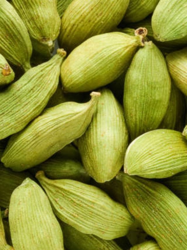 এলাচেই লুকিয়ে রয়েছে ৮ রোগের অব্যর্থ ওষুধ – TV9Bangla
