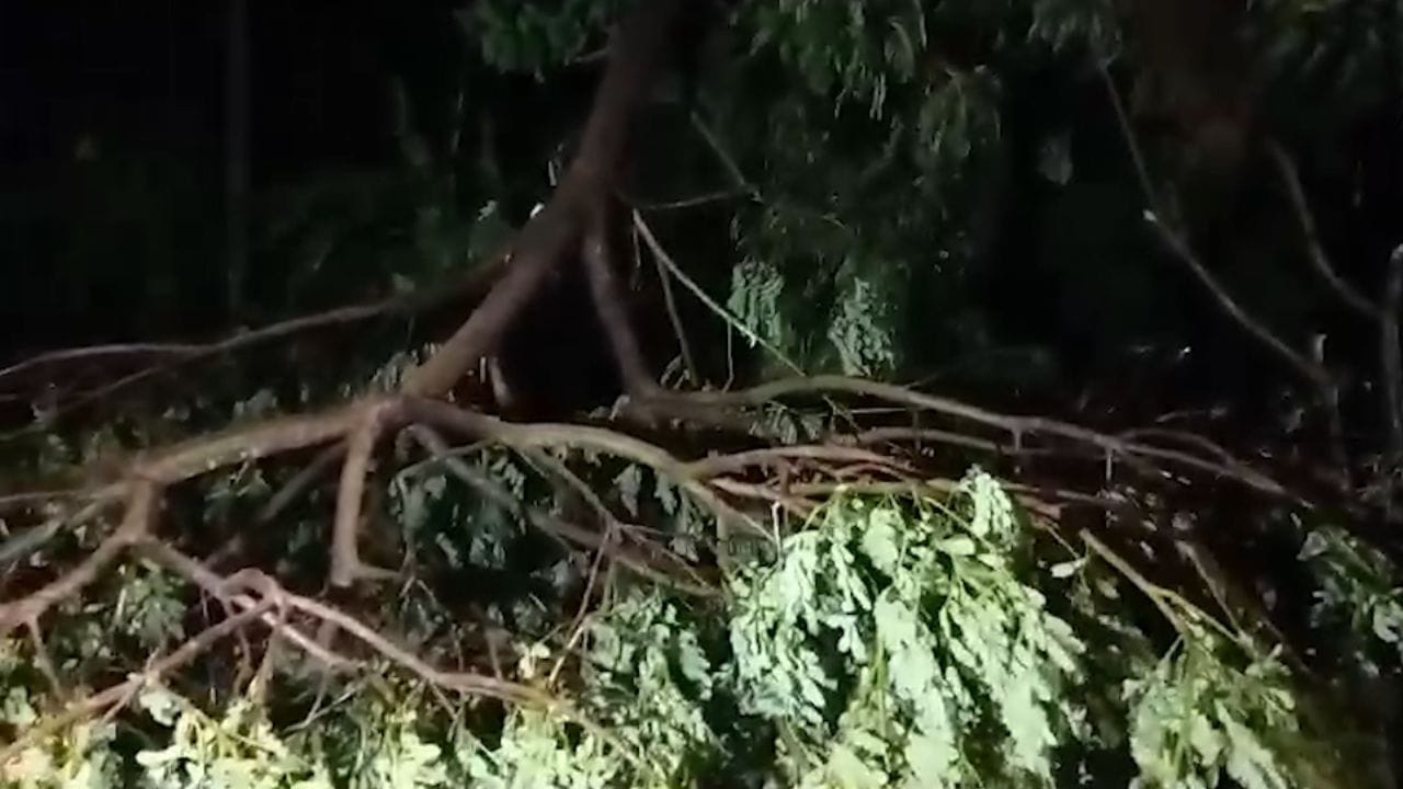 Cyclone Remal: রেমালের ল্যান্ডফল শুরু, ৪ ঘণ্টা ধরে চলবে প্রক্রিয়া ...