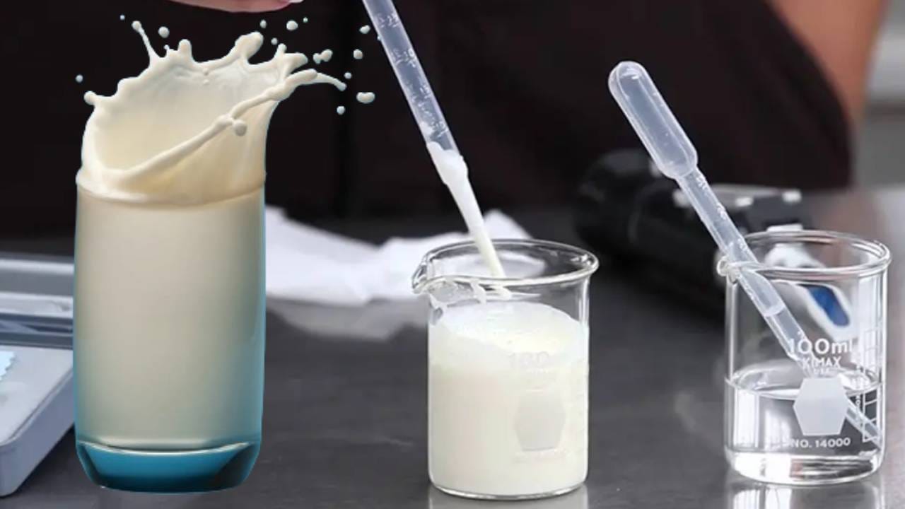Milk Purity Test: দুধে কতটা জল মেশানো রয়েছে? বাড়িতেই পরীক্ষা করে জেনে ...