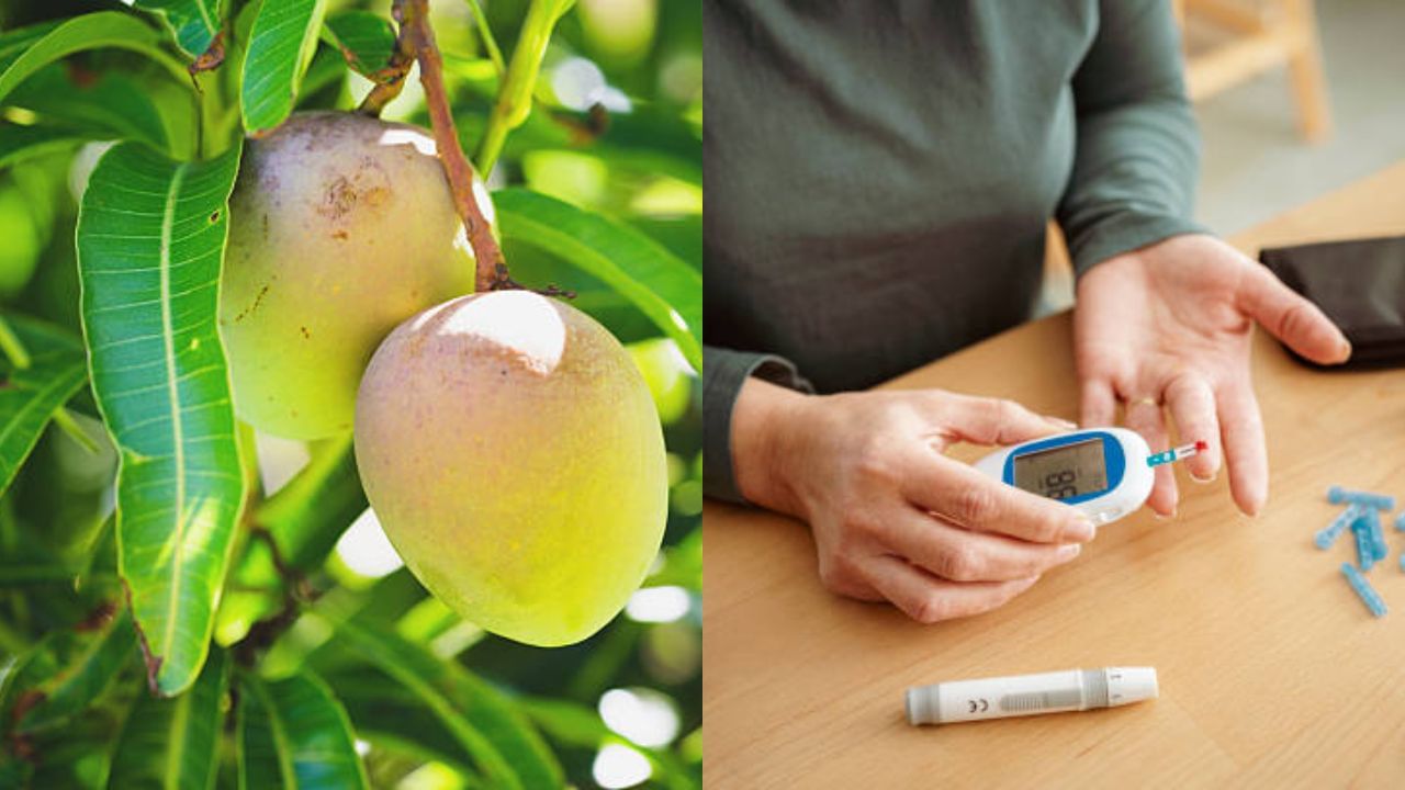 Mango Leaves for Diabetes: ডায়াবেটিসে রোগী হয়ে পাকা আম খেলেই বিপদ ...