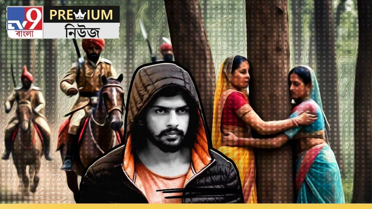Bishnoi Movement: লরেন্সের পূর্বপুরুষদের ইতিহাস: ৩০০ বছর আগে গাছ ...