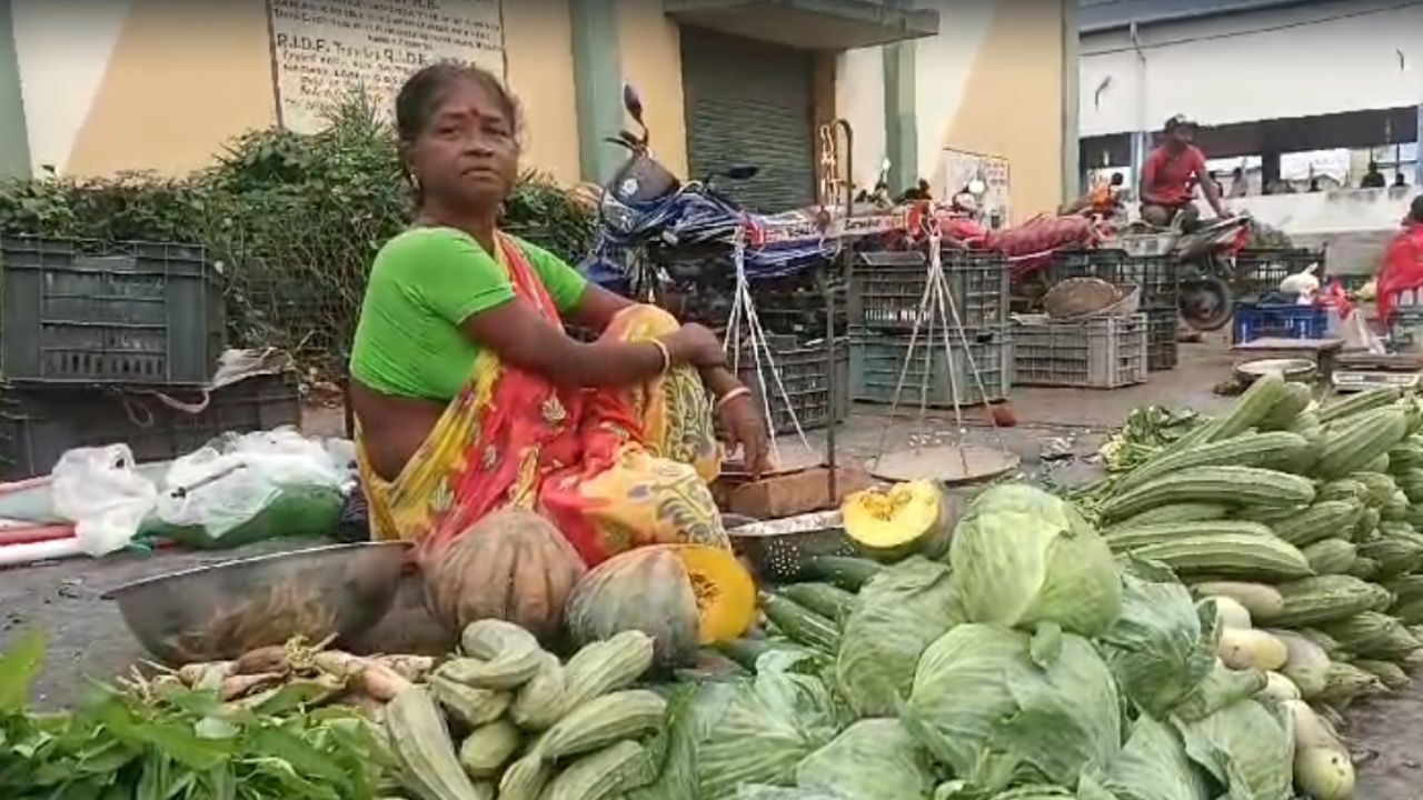 Market Price: বেগুন ১০০, বরবটিও ১০০! 'ভয়ঙ্কর অবস্থা' বলছেন ক্রেতারা, পুজোর আগে আর কীসের দাম ...