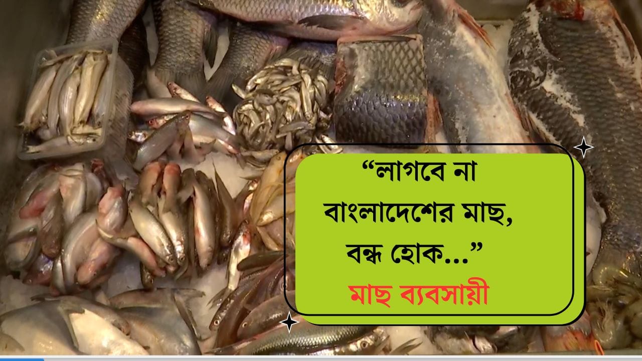 Fish Trade: 'লাগবে না পদ্মার ইলিশ, পারশে, পাবদা, আমাদের অনেক আছে', বড় ...