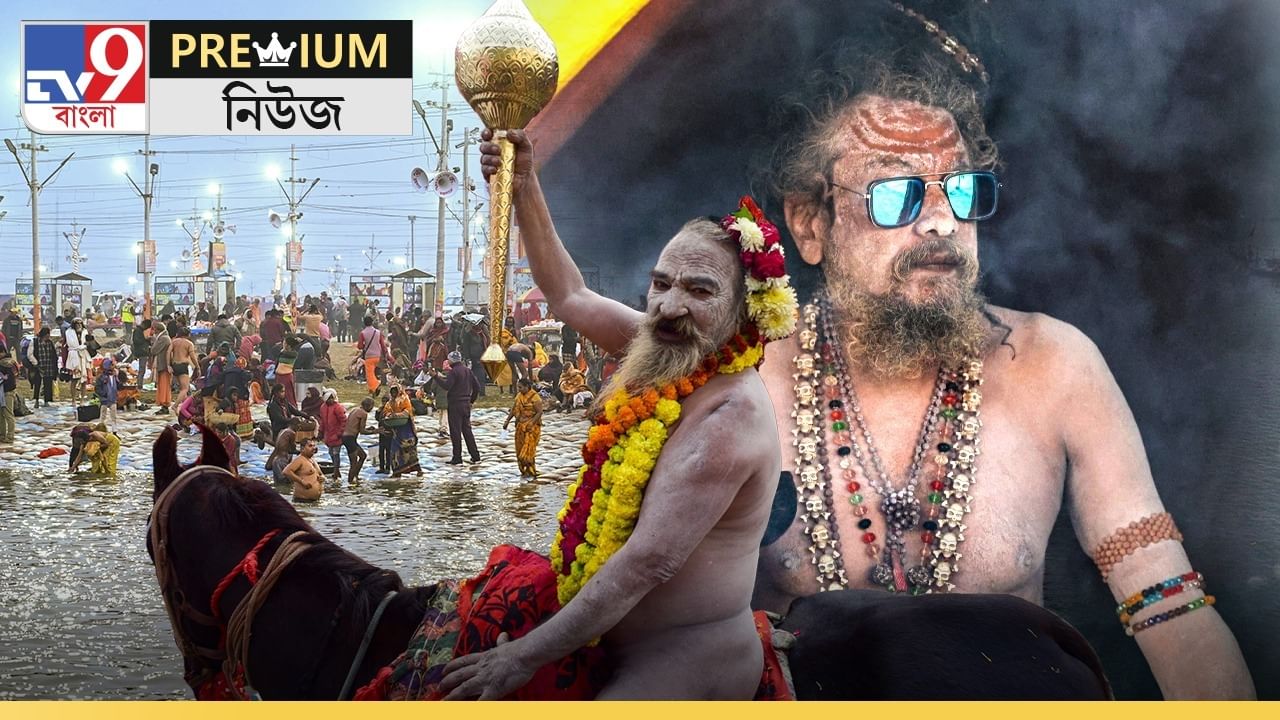 In Depth Story on Naga Sadhu: মাথায় জটা, গায়ে একটা সুতোও থাকে না! কোন ...