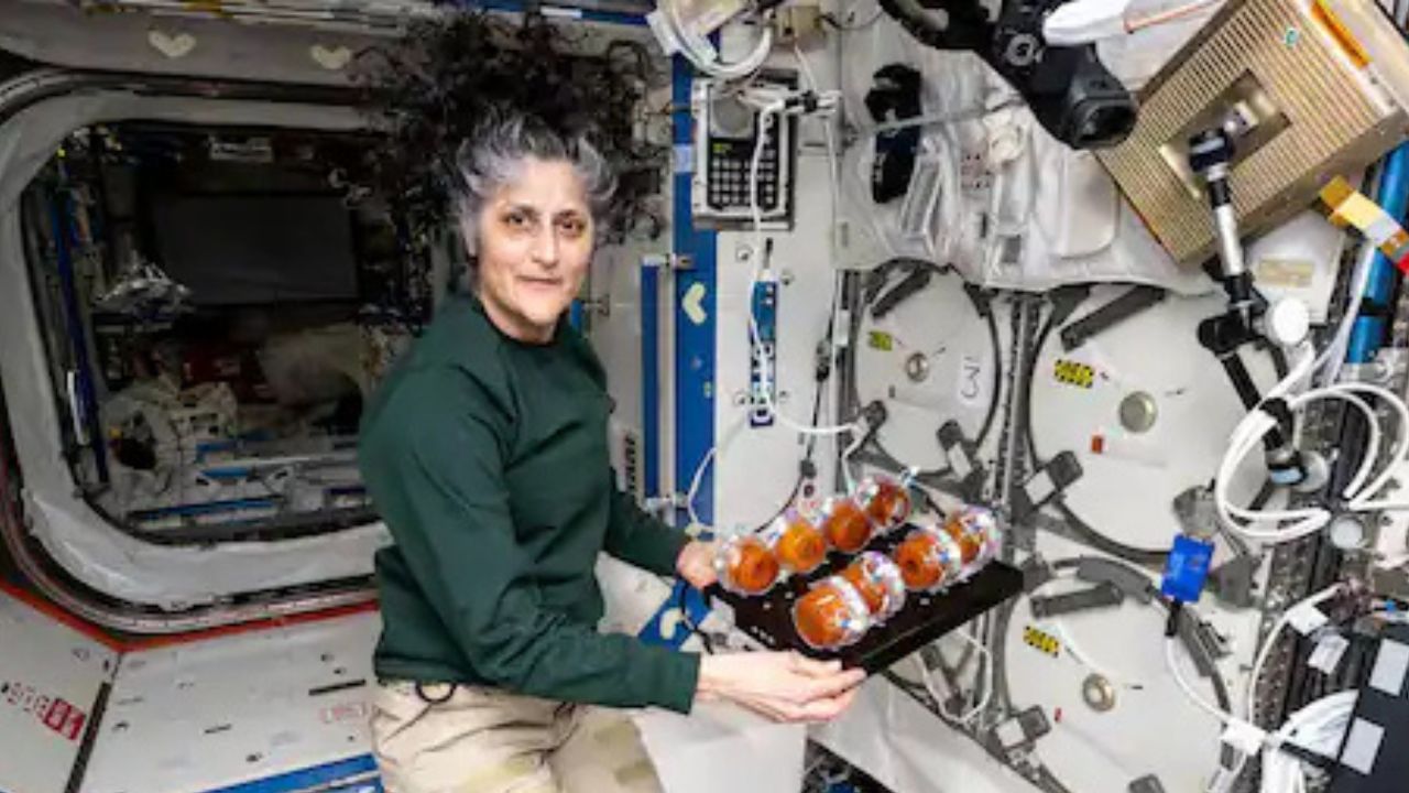 Sunita Williams: বাচ্চাদের মতো হয়ে গিয়েছে সুনীতার পা, হাঁটতে পারবেন তো পৃথিবীতে এসে? - Bengali ...