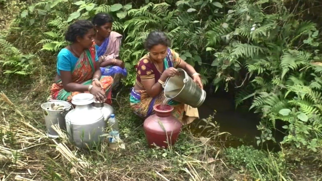 Water Crisis: নল বসেছে, জল আসেনি! শুকিয়ে কাঠ বৃদ্ধ নলকূপও, অগত্যা গর্তে জমা জল খেয়েই দিন ...