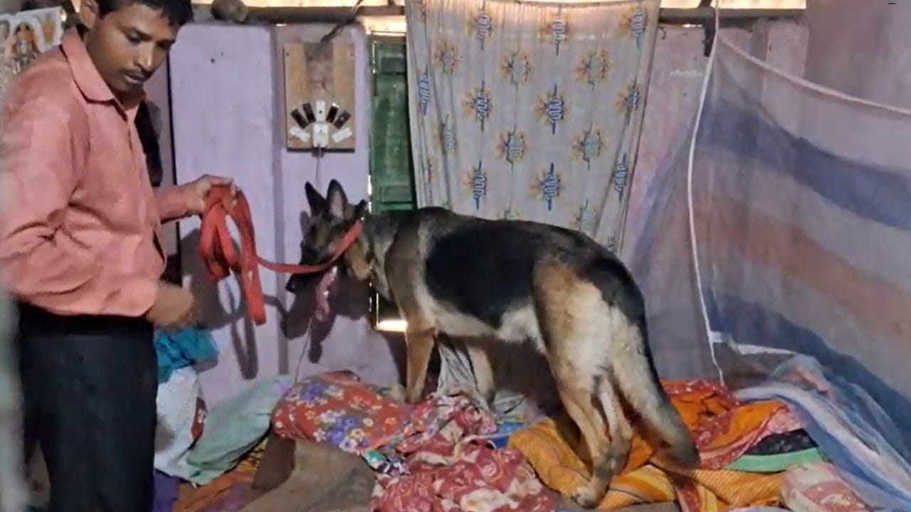 Nadia: বিছানায় চাপ চাপ রক্ত, ঘরে পড়ে লোহার রড, চাপড়ায় অঙ্গনওয়াড়ি ...