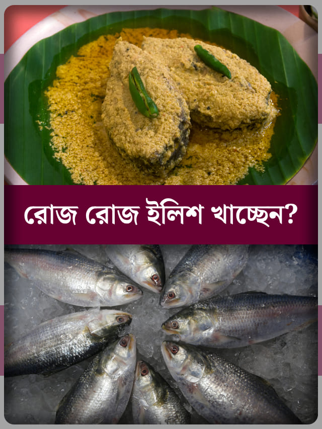 বর্ষায় রোজ পাতে পড়ছে ইলিশ, নিয়মিত খেলে শরীরের ভেতর কী ঘটে জানেন? – TV9Bangla
