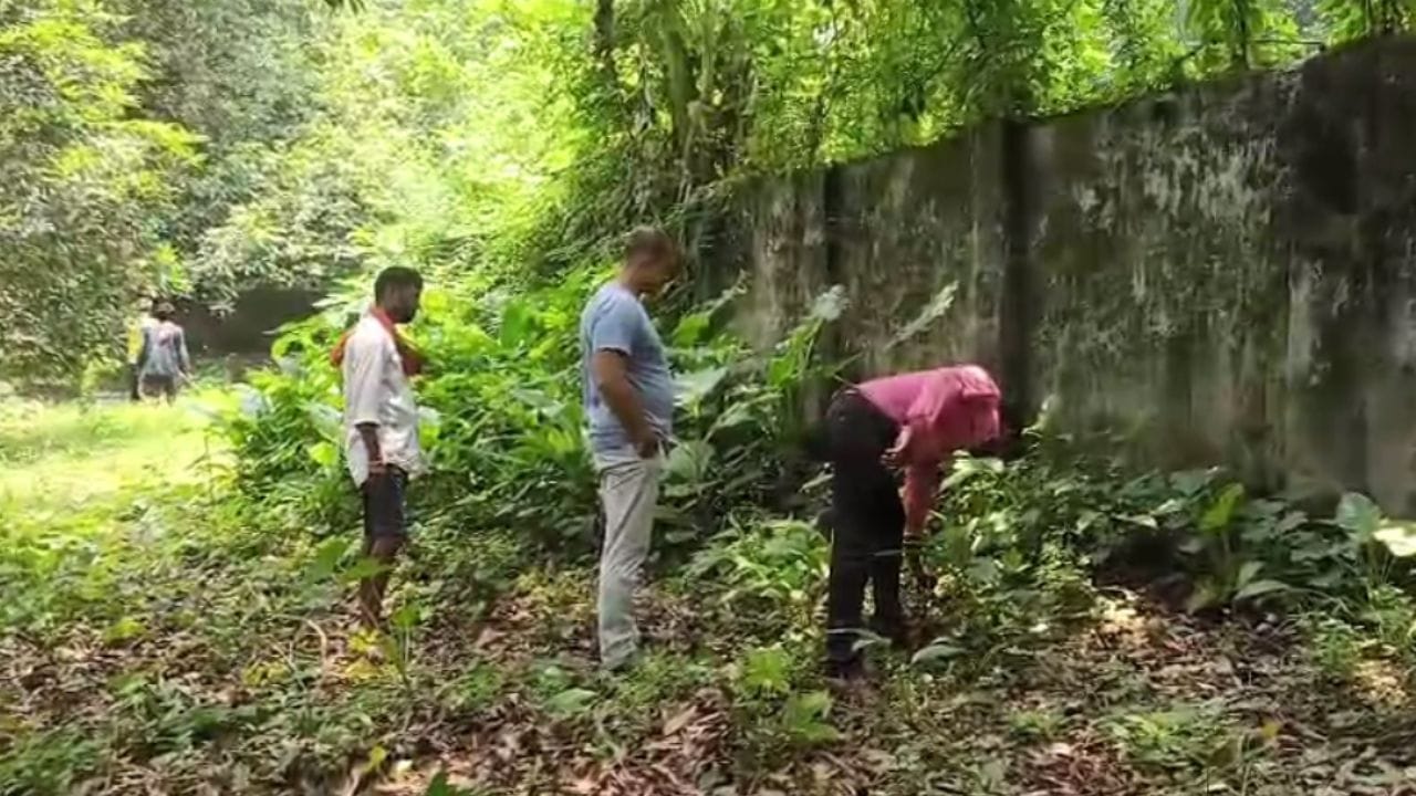 Santipur: আম বাগানের এদিকে-ওদিকে ছড়িয়ে রয়েছে বোমা, শান্তিপুরে হইচই - Bengali News | Santipur ...