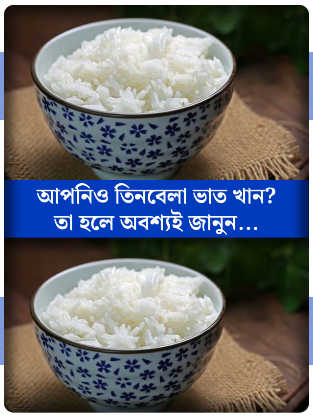 দিনে তিনবেলা ভাত খান? জানেন শরীরের ভিতরে কী ঘটছে? – TV9Bangla