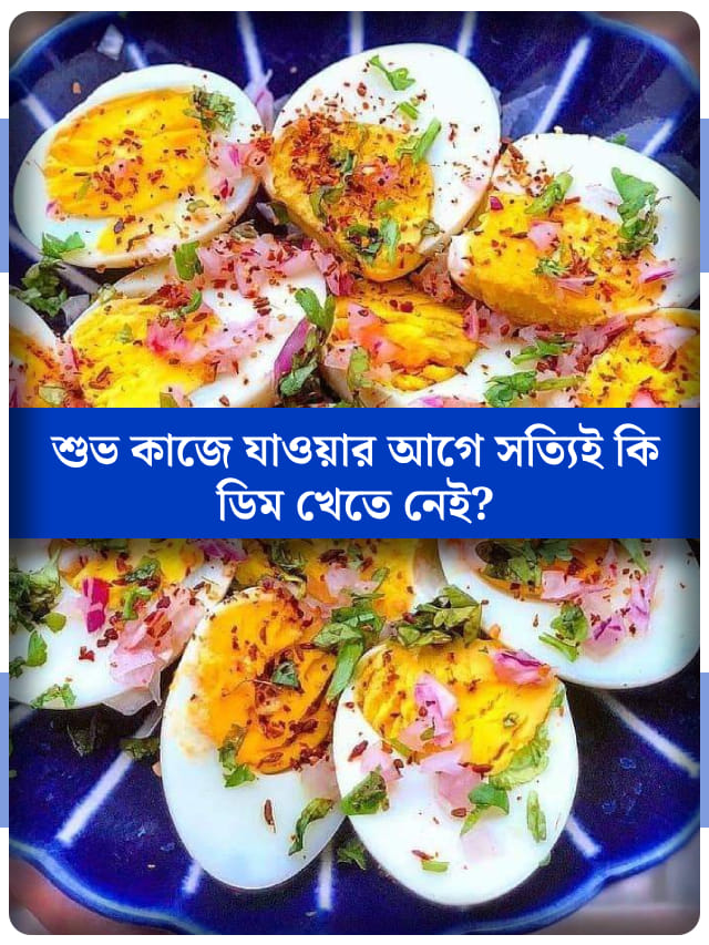 ডিম খেয়ে শুভ কাজ করতে গেলেই হয় পণ্ড! আসল সত্যিটা কী? – TV9Bangla