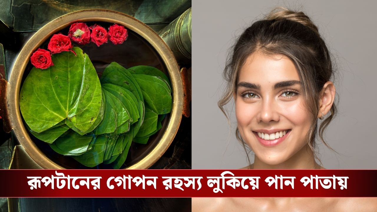 Skin Care: হাজার টাকা আর খরচ নয়, পান পাতার গুণে ত্বক হবে মসৃণ ও দাগমুক্ত - Bengali News | How ...
