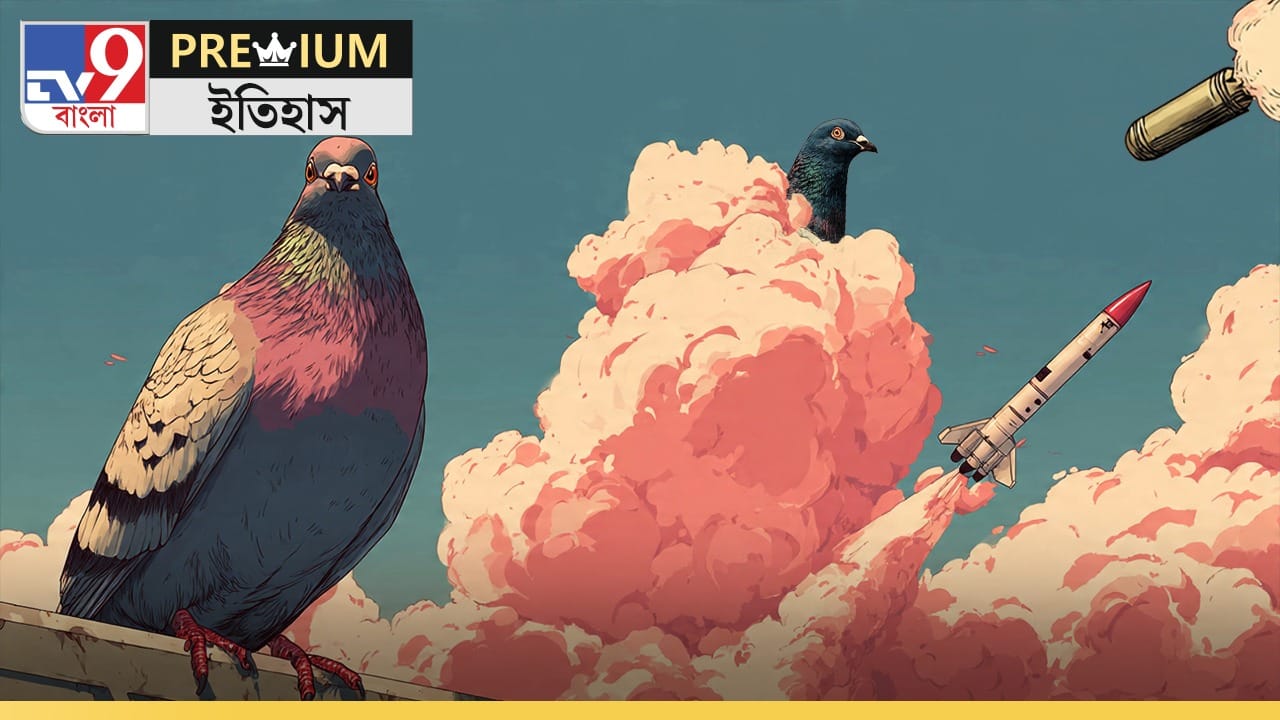 World War II, Project Pigeon: শান্তির প্রতীক পায়রা ওড়াত মিসাইল-বোমা ...