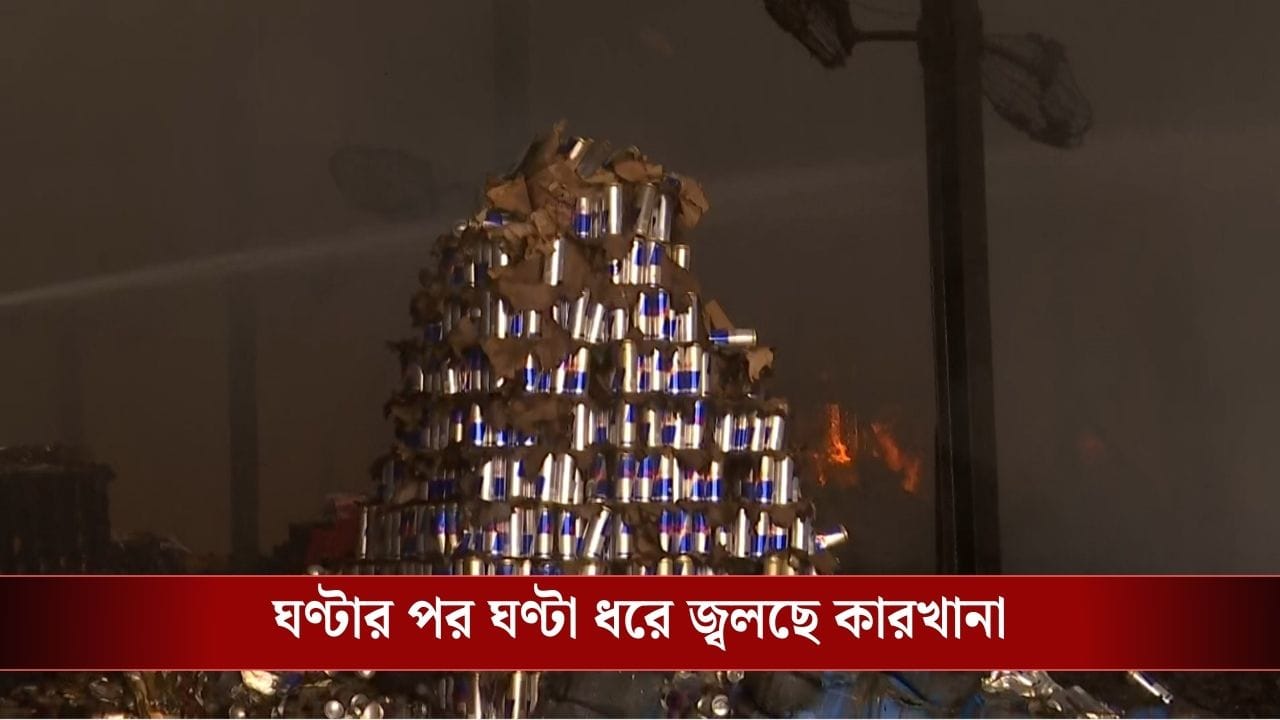 Fire at Momo Factory: ভয়াবহ আগুনে ভস্মীভূত আনন্দপুরের মোমো কারখানা ...