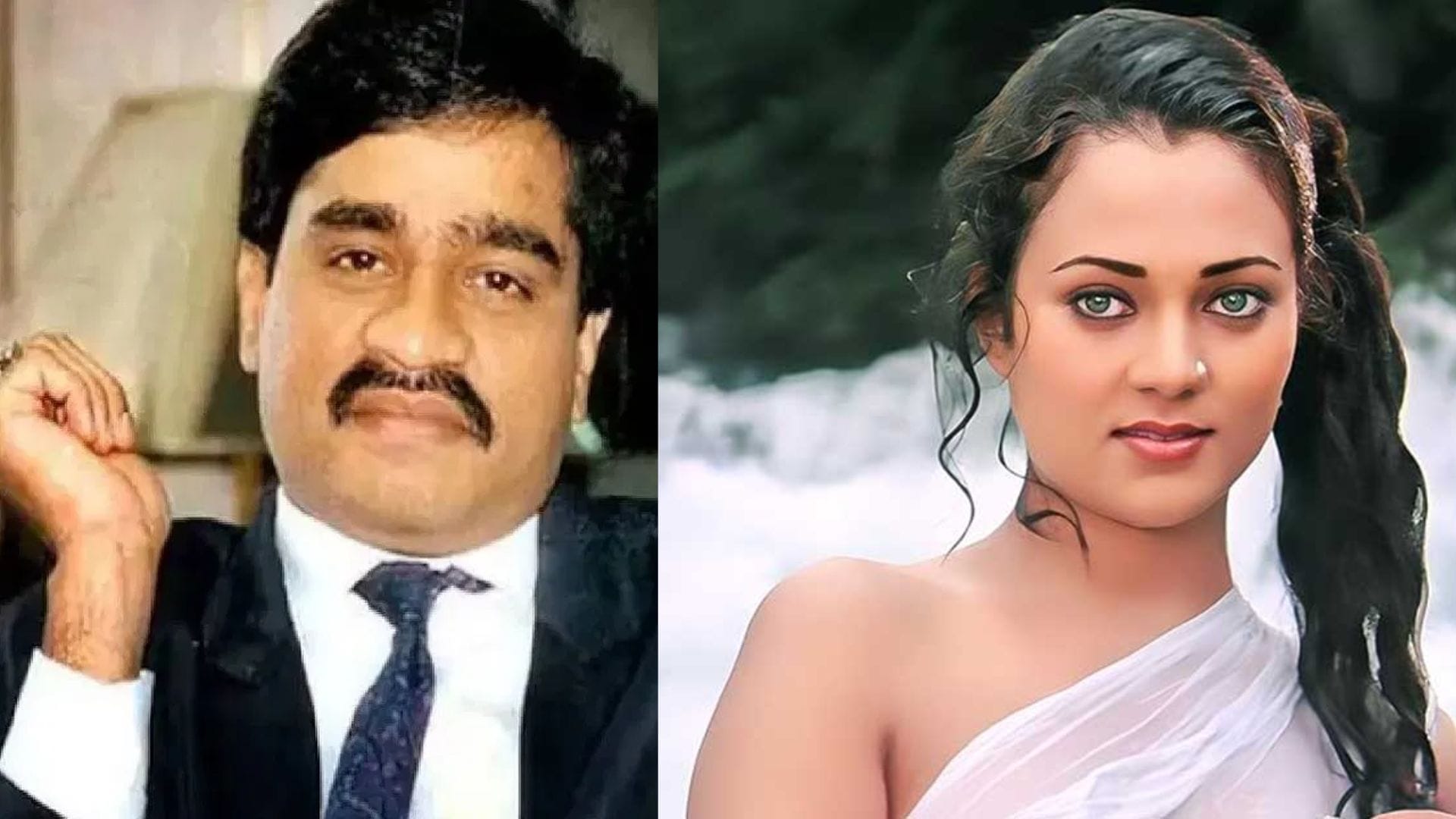 দাউদের ঔরসে মন্দাকিনী এক পুত্রের মা! কেন আজও এই প্রেম কাহিনী বলিউডে ...
